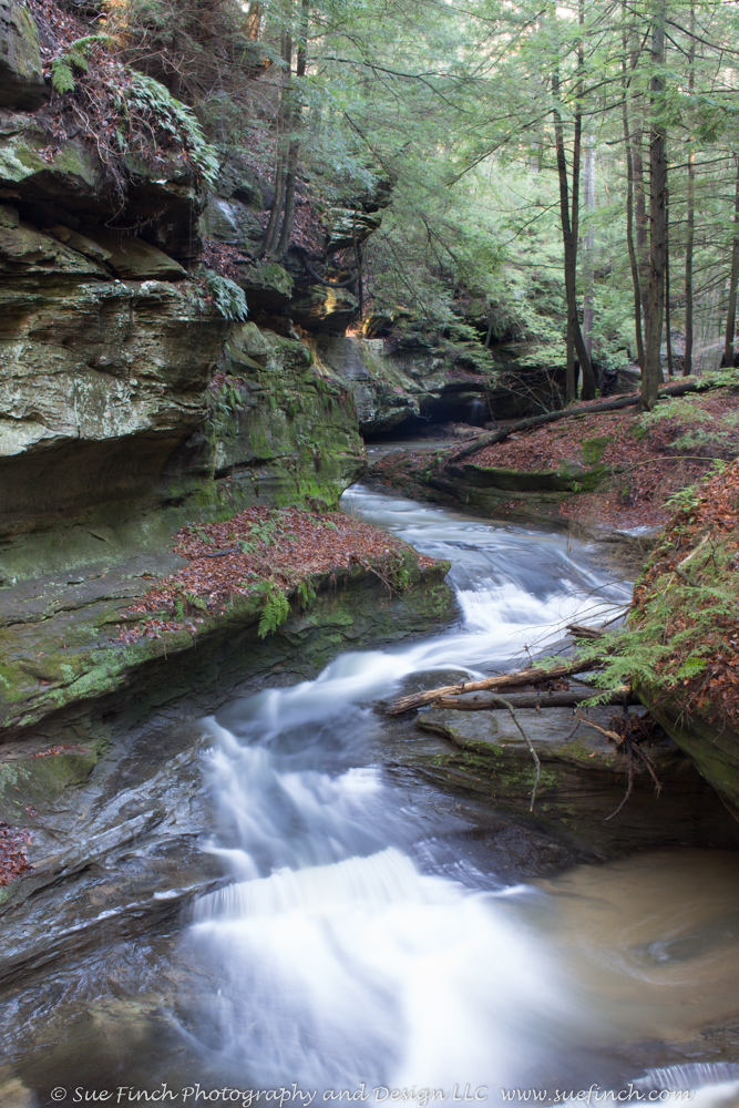 Portfolio – Sue Finch Photography and Design LLC