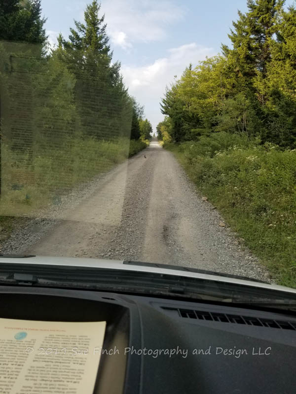 Cooking on the Road and the Kitchen Sink – Sue Finch Photography and ...