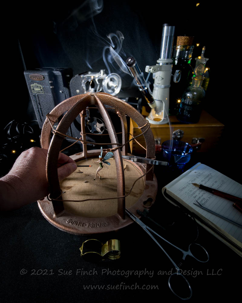 2021 52 Frames (53) Complete Photography Project – Sue Finch ...