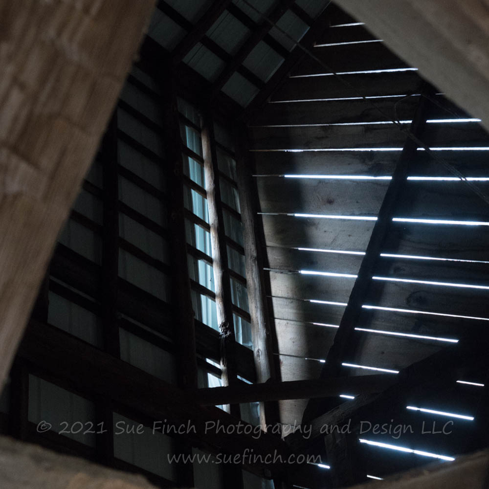 2021 52 Frames (53) Complete Photography Project – Sue Finch ...