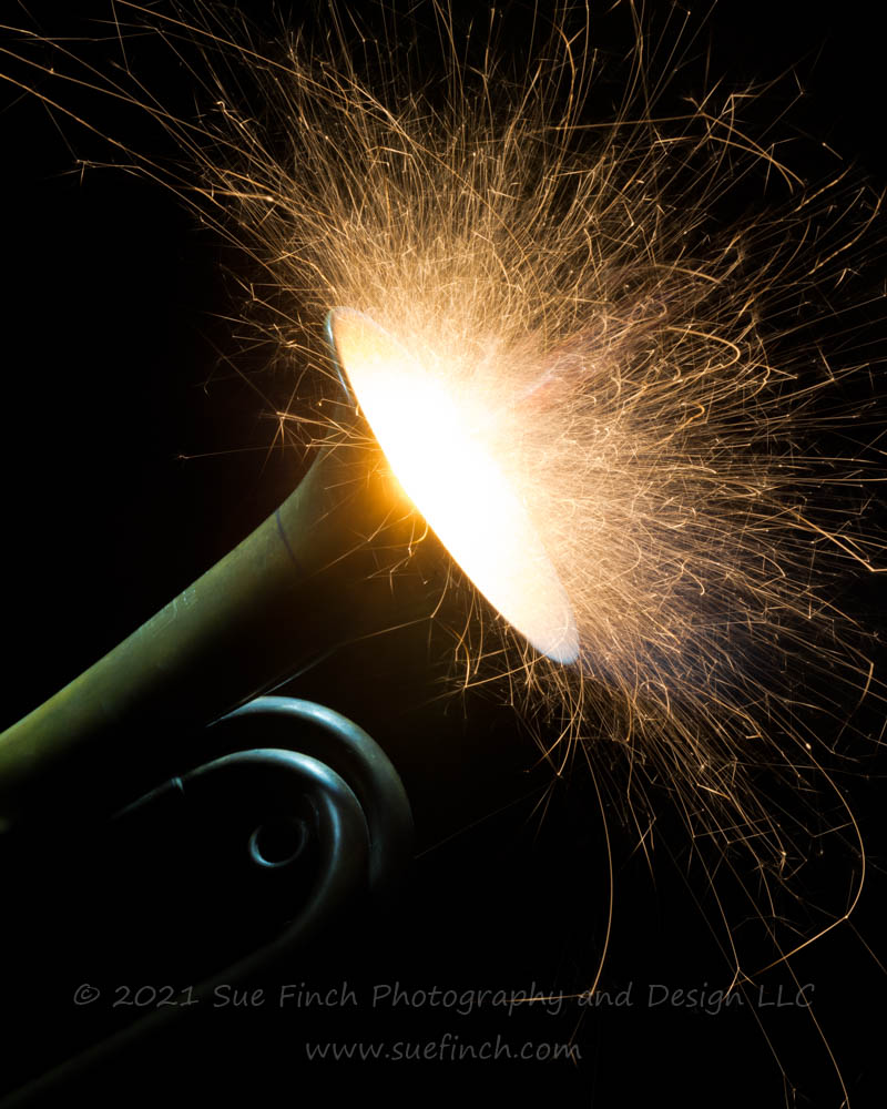 2021 52 Frames (53) Complete Photography Project – Sue Finch ...