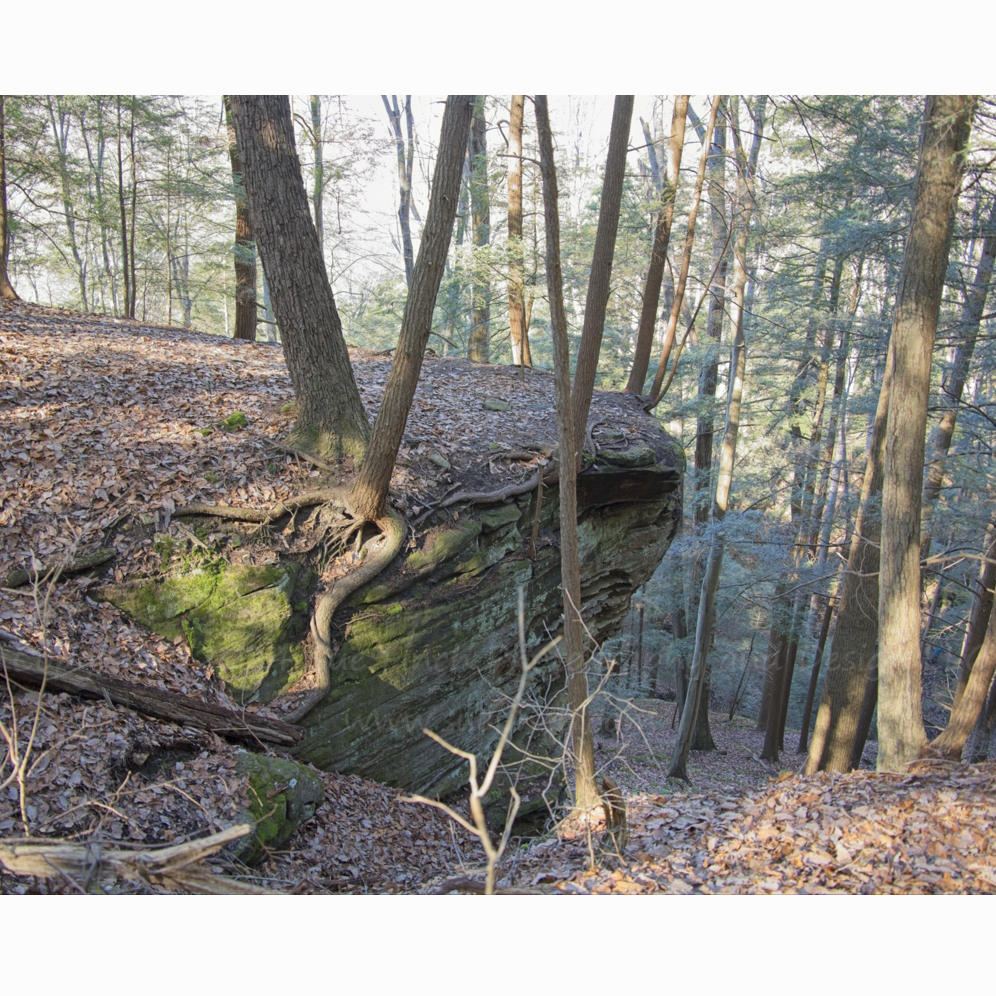 February 2024 Picture-A-Day – Sue Finch Photography and Design LLC