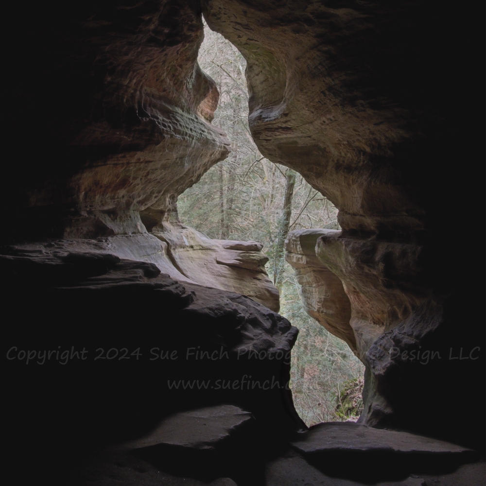 February 2024 Picture-A-Day – Sue Finch Photography and Design LLC