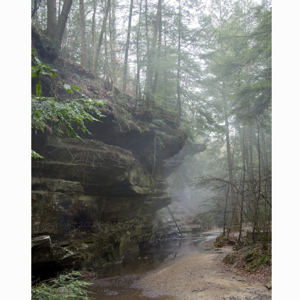 February 2024 Picture-A-Day – Sue Finch Photography and Design LLC