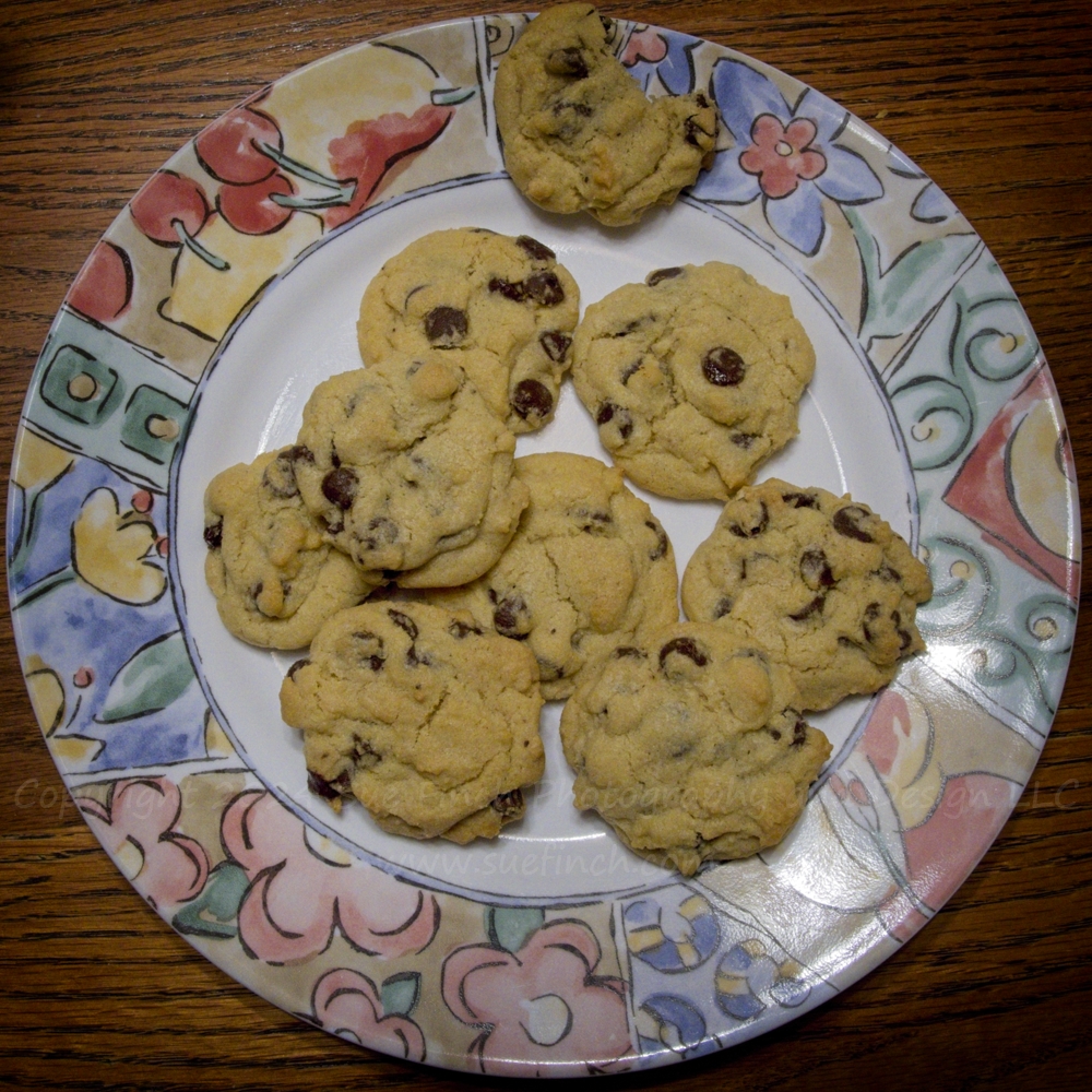 February 2024 Picture-A-Day – Sue Finch Photography and Design LLC