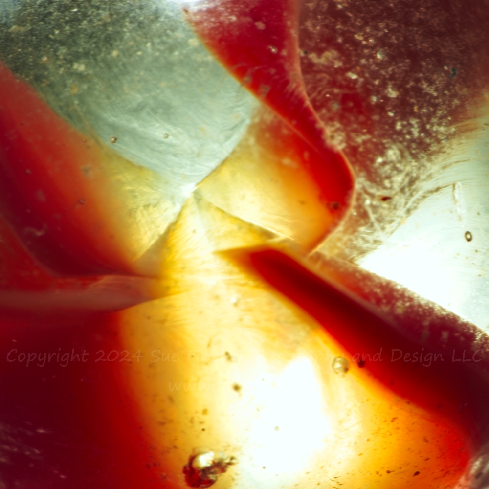 February 2024 Picture-A-Day – Sue Finch Photography and Design LLC