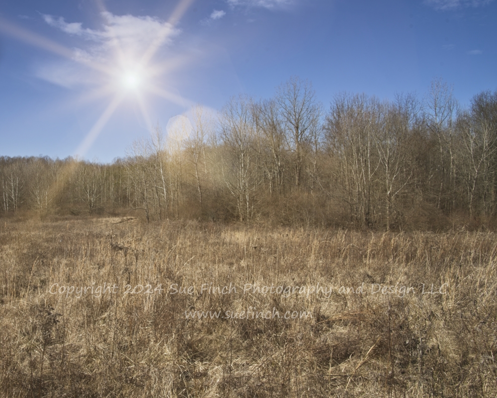 February 2024 Picture-A-Day – Sue Finch Photography and Design LLC