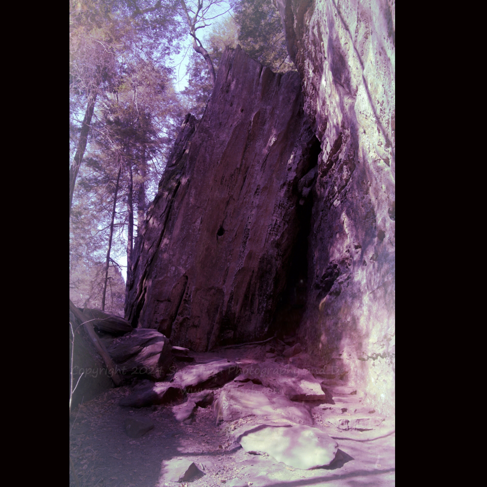 February 2024 Picture-A-Day – Sue Finch Photography and Design LLC